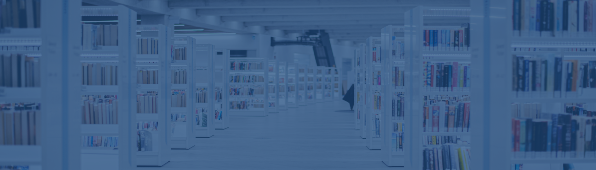 About the Library | YSU